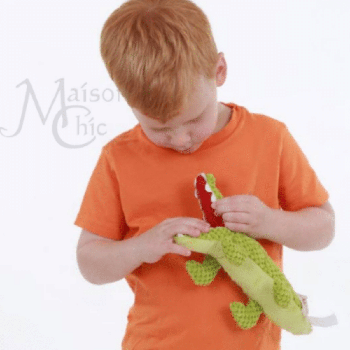 Alex the Alligator Tooth Fairy - MARCELA GIFTS